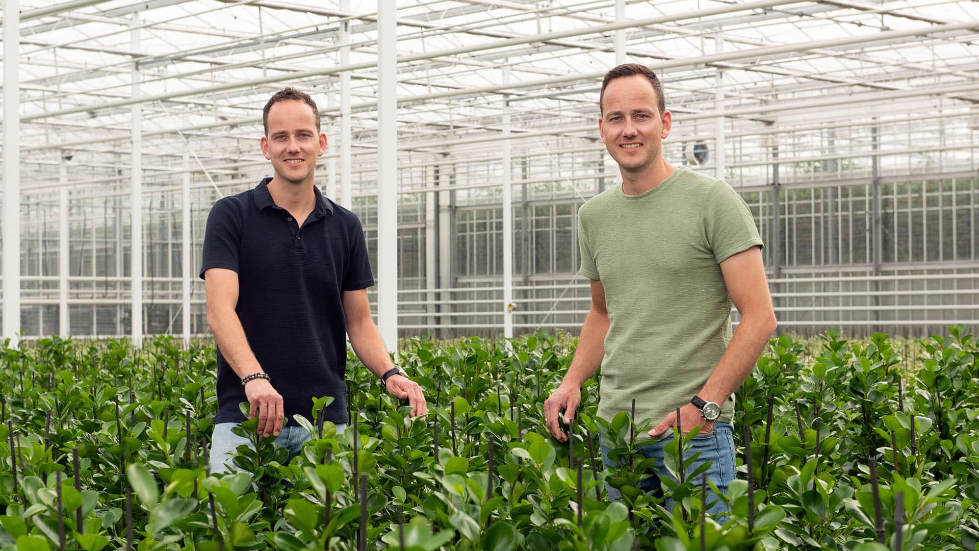Kassen Route Westland - Route 1 - Plantanious | Bezoek Westland